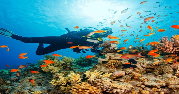 Immersioni subacquee a Hoi An: un'esperienza da non perdere